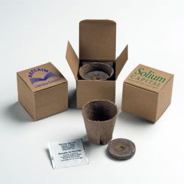 Tree in a Recycled Box Kits, Custom Printed | Low Prices